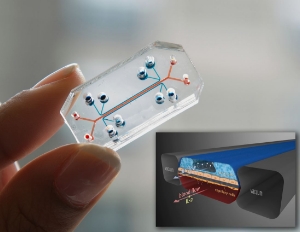 White Papers - AIC-CCMB