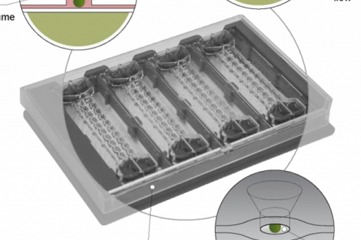Microphysiological systems and their applications at InSphero - AIC-CCMB